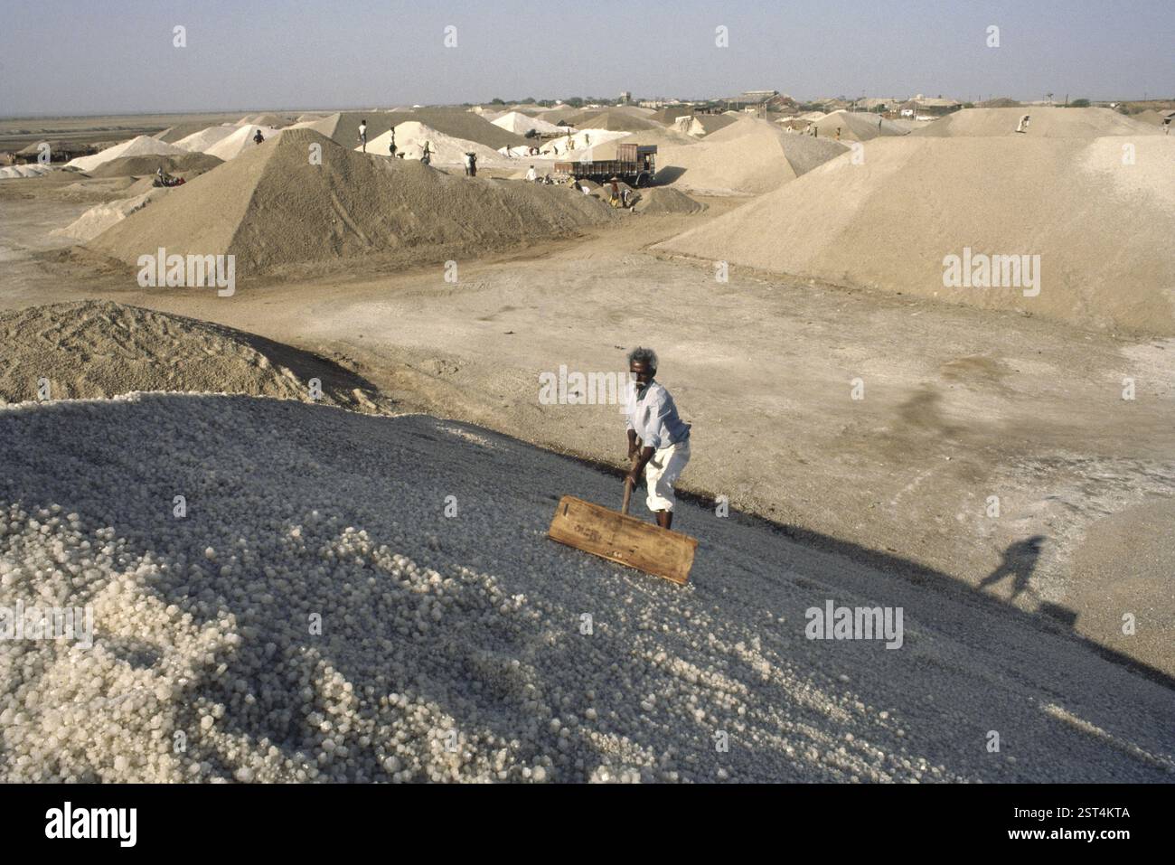 Salt plant, man preparing salt hips, little rann of kutch, gujarat ...