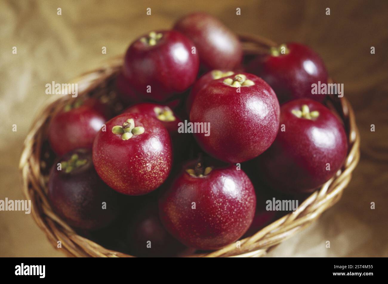 Fruits, kokum (garcinia indica), india Stock Photo - Alamy