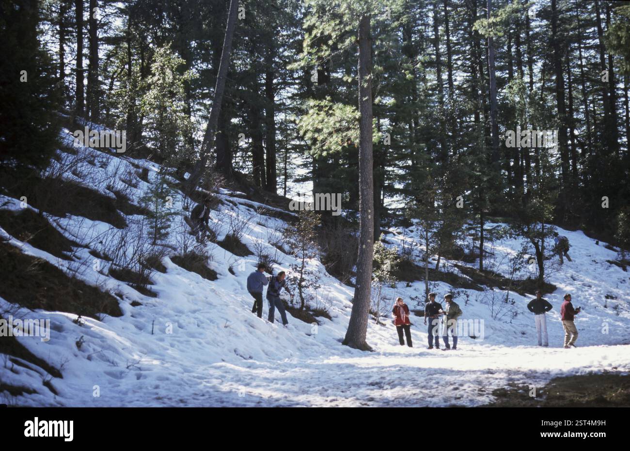 Kufri hi-res stock photography and images - Alamy