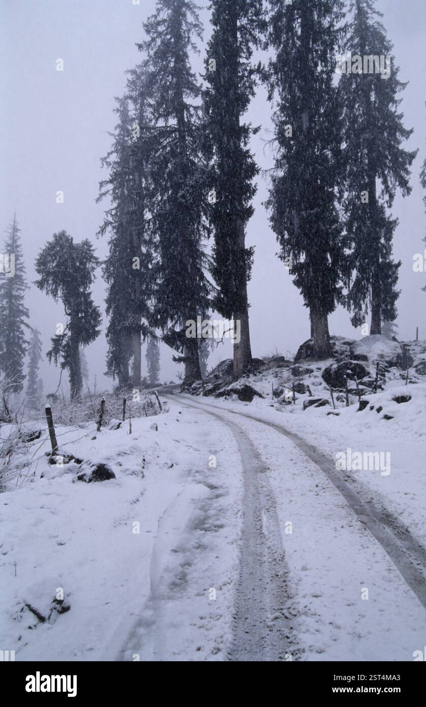 Snow at Solang, Manali, Himachal Pradesh, india Stock Photo - Alamy