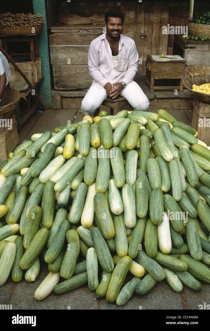 Man selling cucumbers, mysore, karnataka, india Stock Photo - Alamy