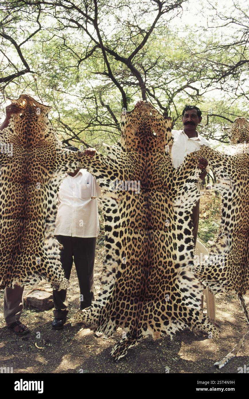 Hunted for their skins hi-res stock photography and images - Alamy