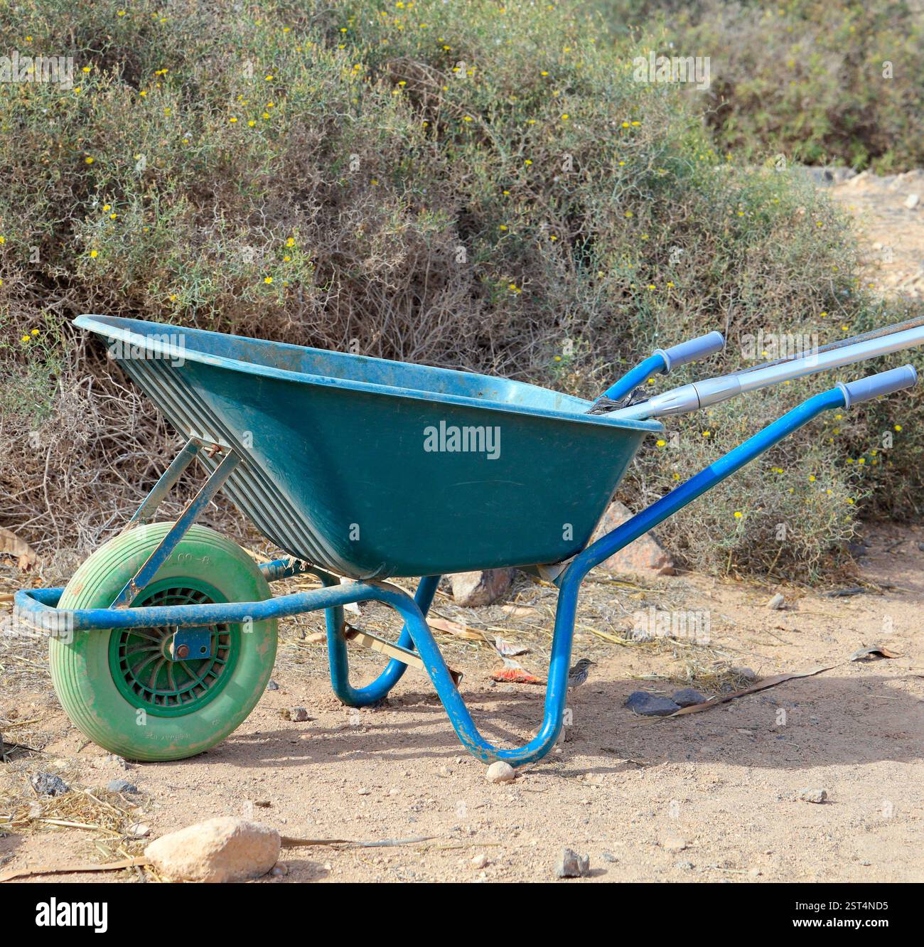 Green wheelbarrow, Canary Islands, Spain, EU. Taken Winter 2024 Stock ...