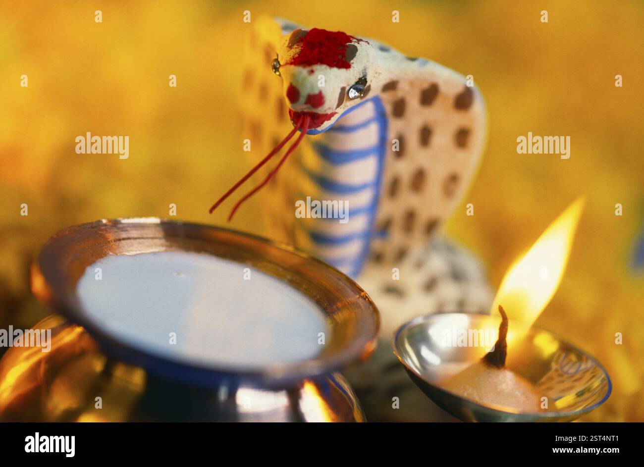 Nagapanchami festival of india, snake worship, india Stock Photo - Alamy