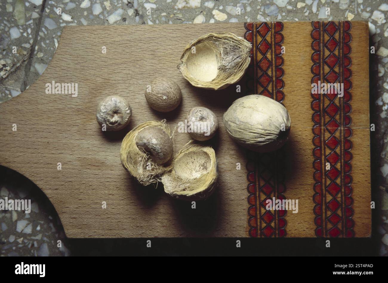 Betel nut with husk, india Stock Photo - Alamy