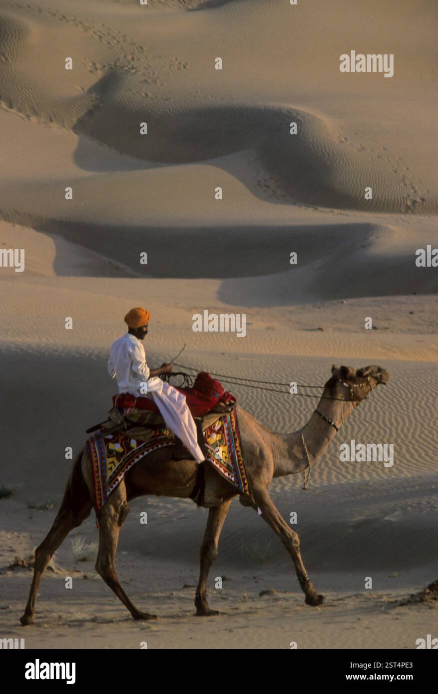 Sand, Dunes, Khuri, Jaisalmer, Rajasthan, India, Asia Stock Photo - Alamy