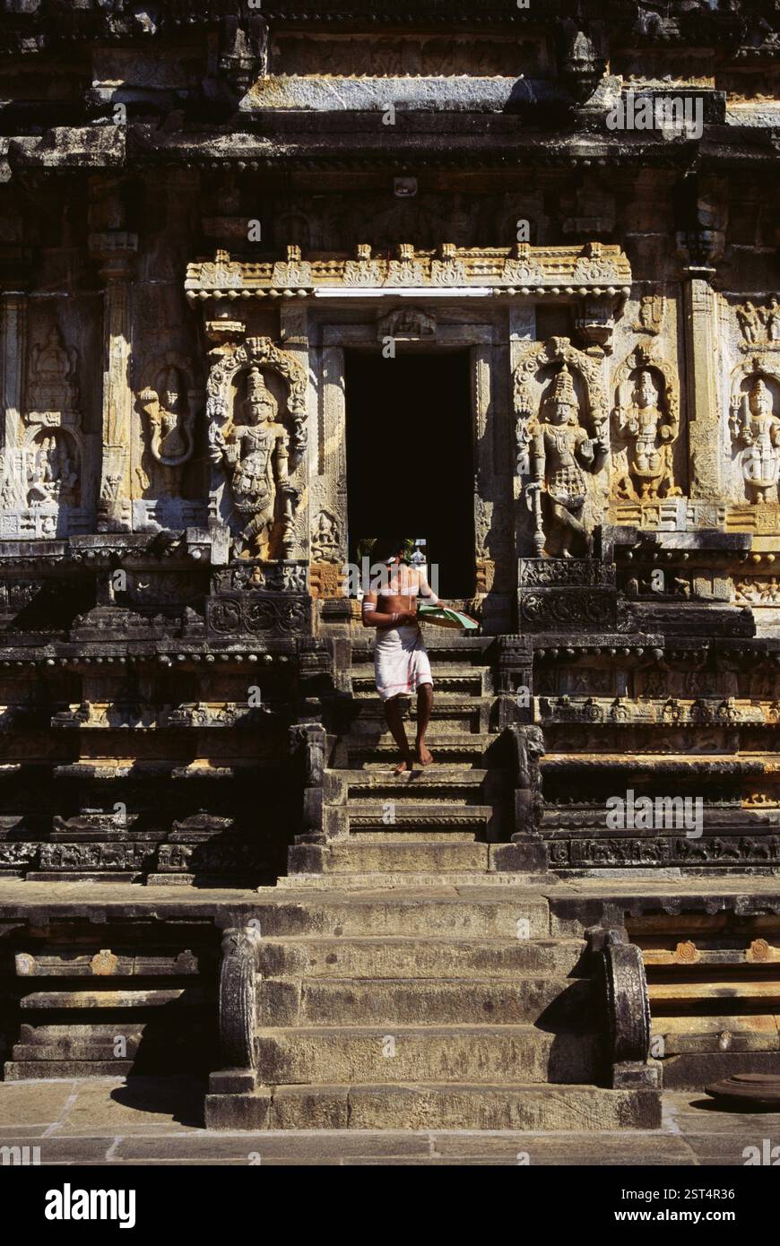 Vidya Shankara temple, Sringeri, Karnataka, India, Asia Stock Photo - Alamy