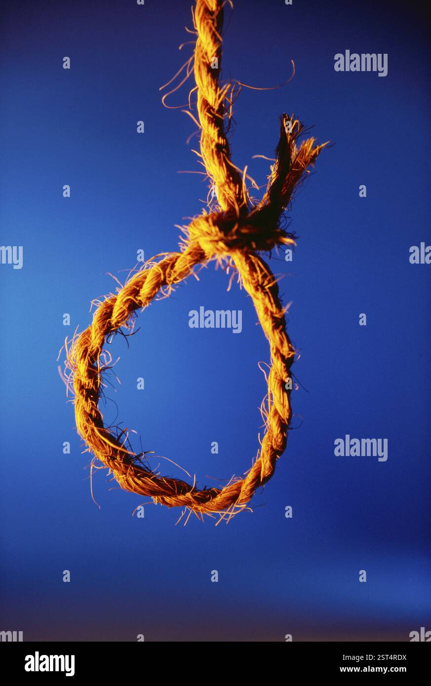 Concept, death hangman's noose Stock Photo - Alamy