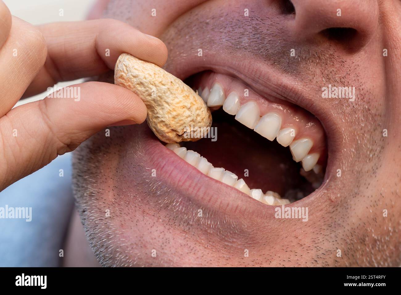 Eating hard peanut In the shell. strong white teeth bite a nut. An open ...