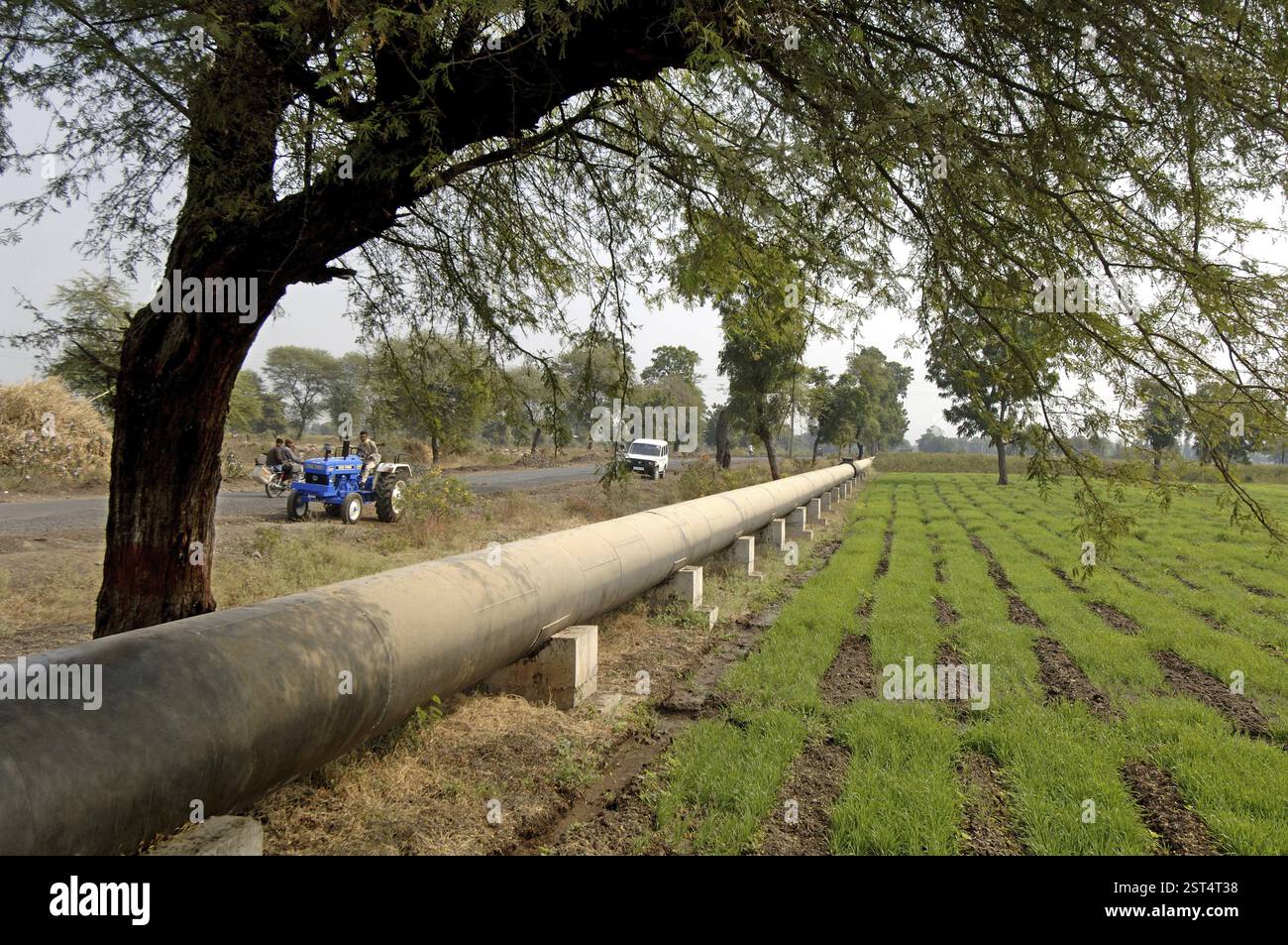 Water pipeline through village fields, Akola, Akot, Maharashtra, India ...