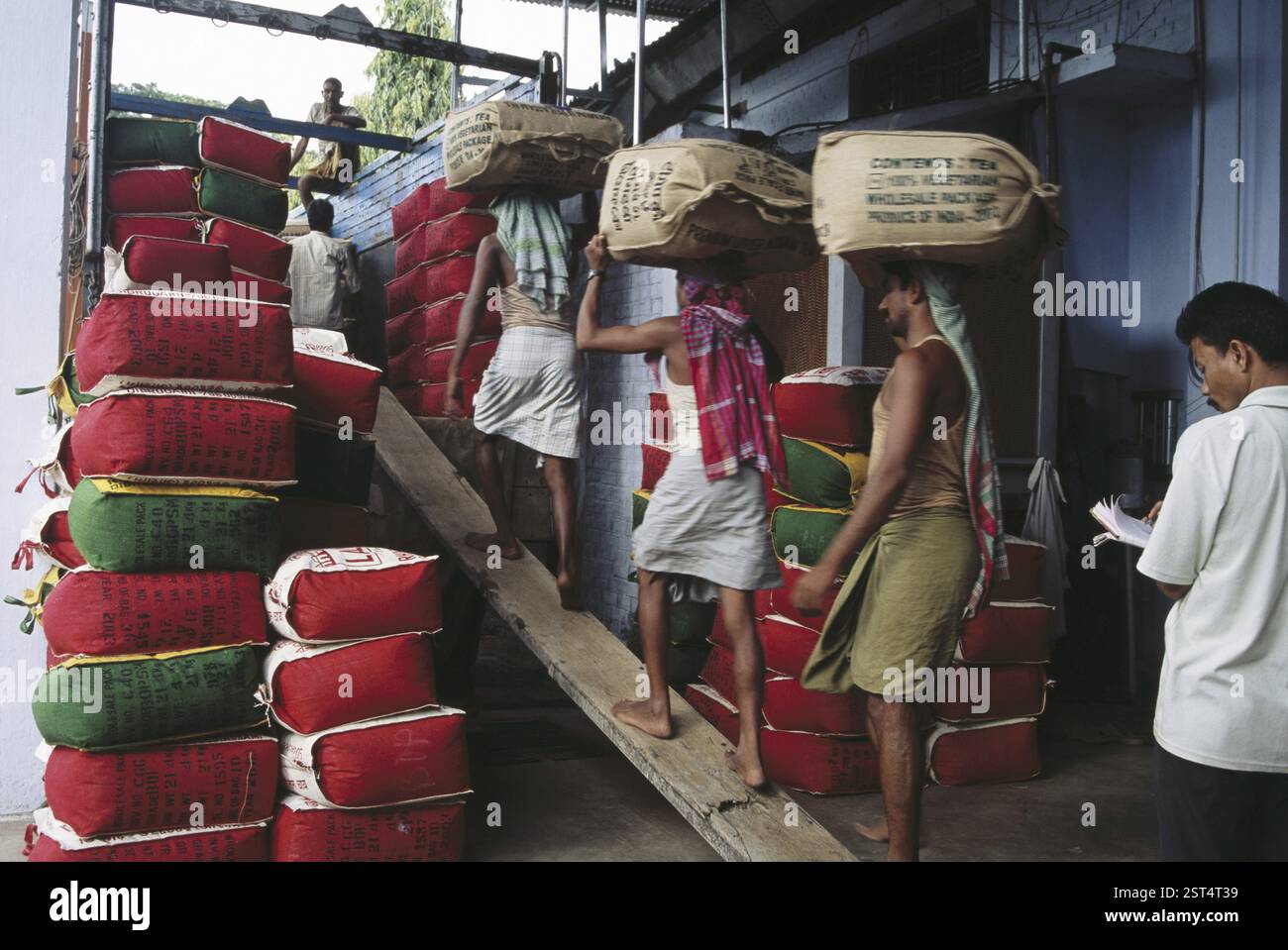 Tea producing factory, assam, india Stock Photo - Alamy