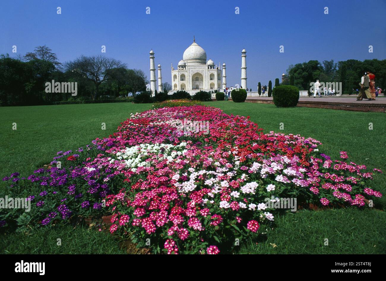 Garden at Taj Mahal Seventh Wonder of The World, Agra, Uttar Pradesh ...