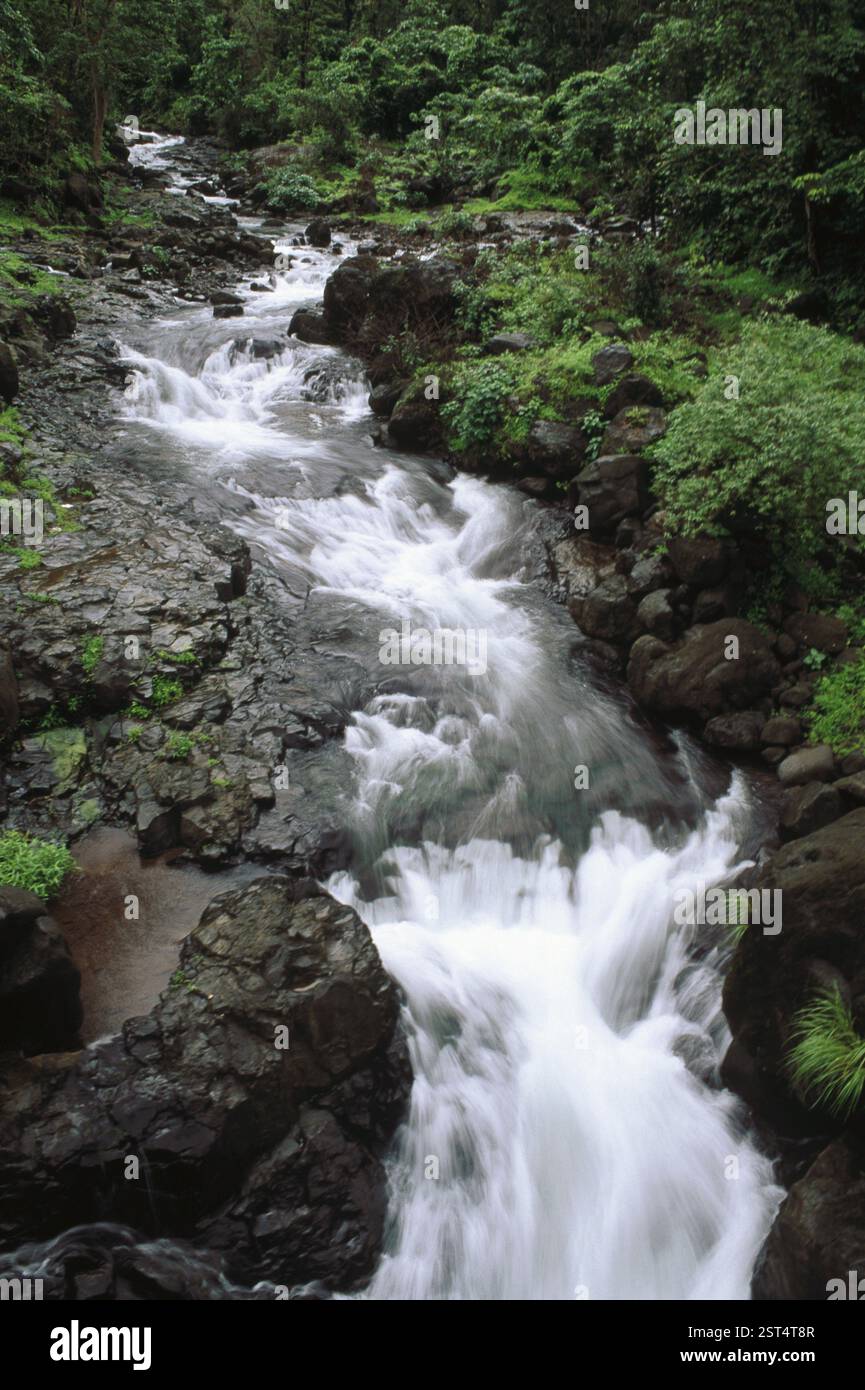 Stream through rocks and greenery, malshej ghat, maharashtra, india ...