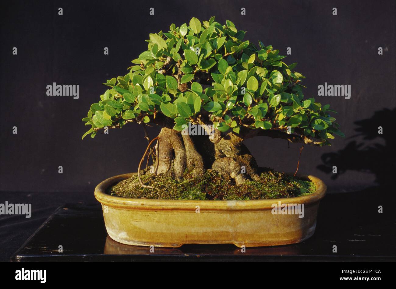 Silvassa india hi-res stock photography and images - Alamy