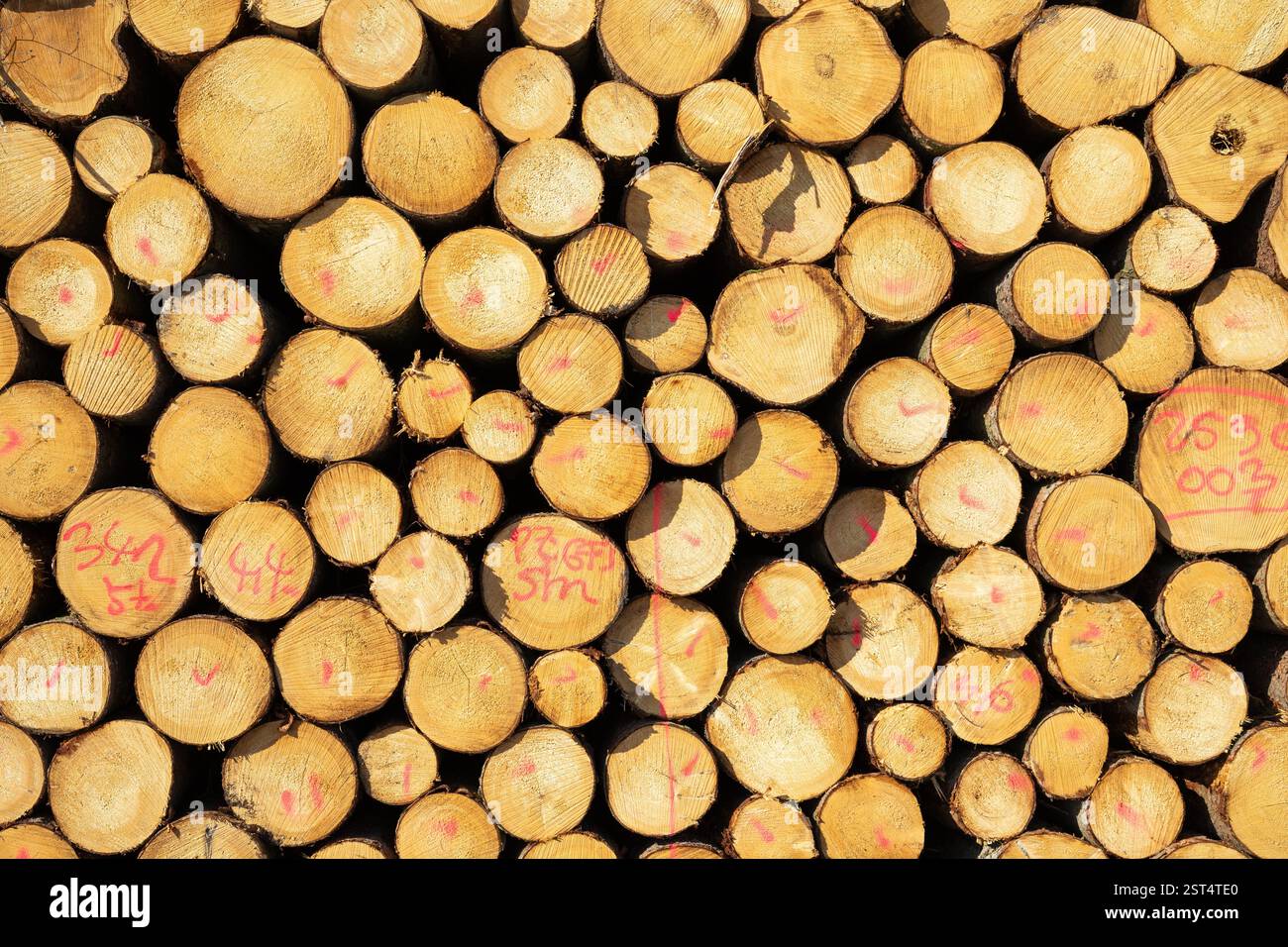 pile of wood texture background Stock Photo - Alamy