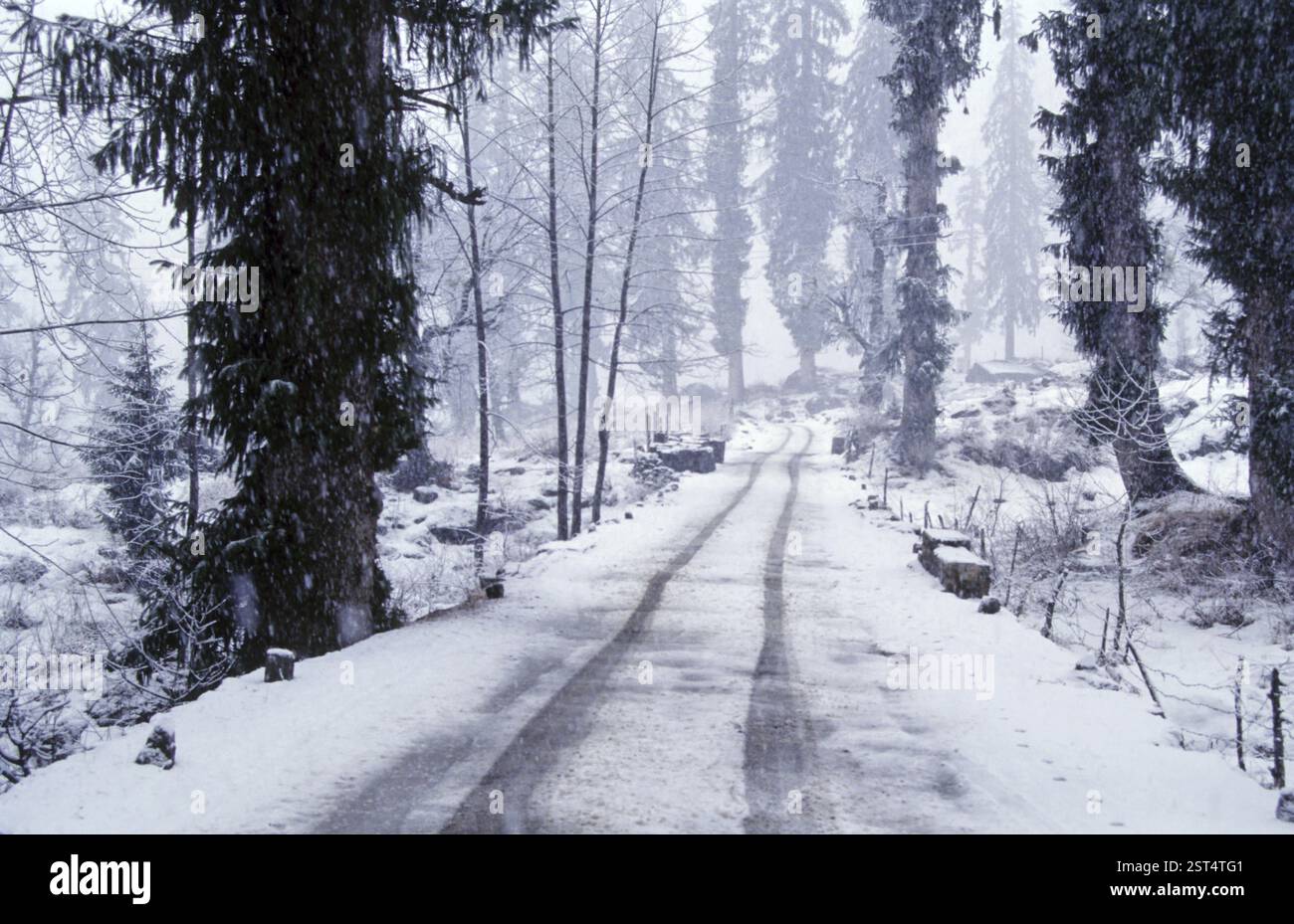 Snow at Solang, Manali, Himachal Pradesh, india Stock Photo - Alamy