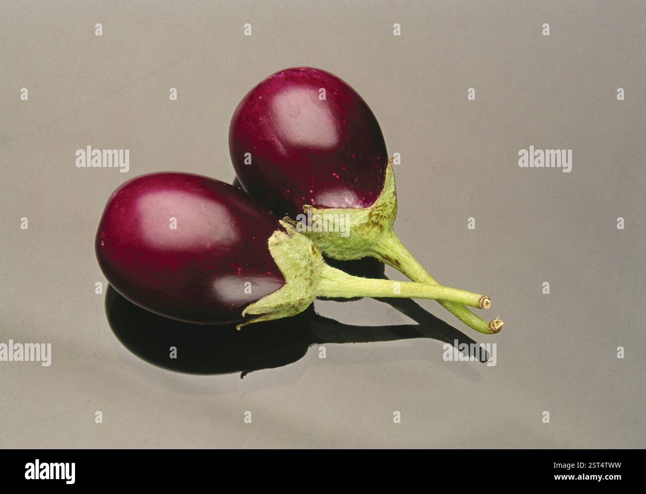 Vegetable, bringals, india Stock Photo - Alamy