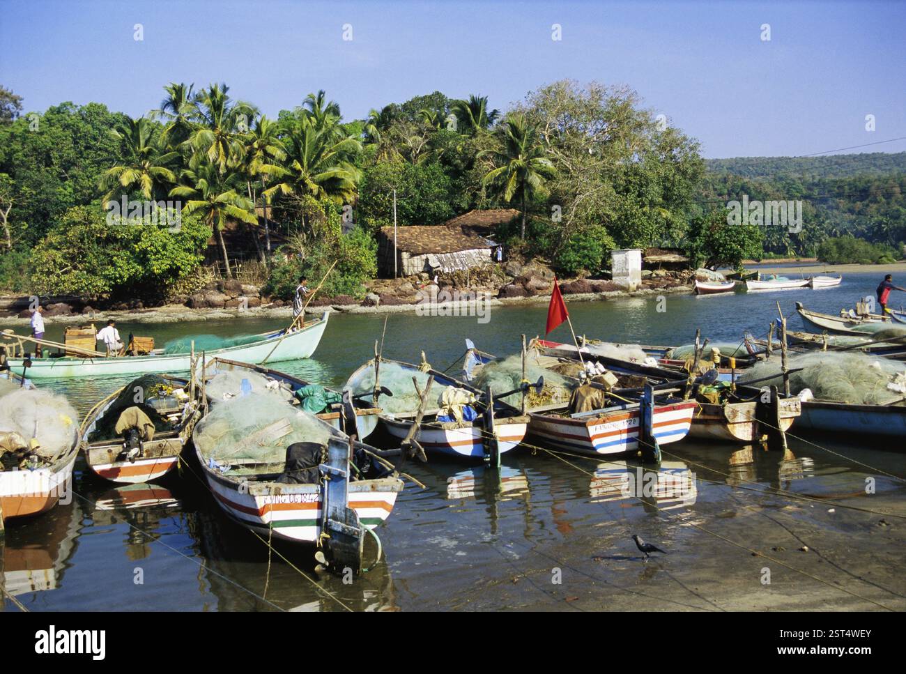 Us asia hi-res stock photography and images - Alamy