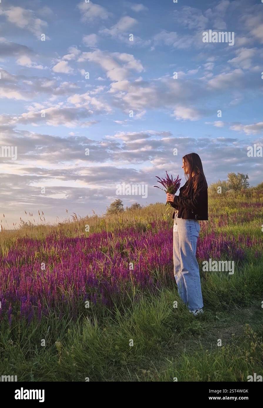 Young woman in harmony with nature smelling a bouquet of Balkan clary ...