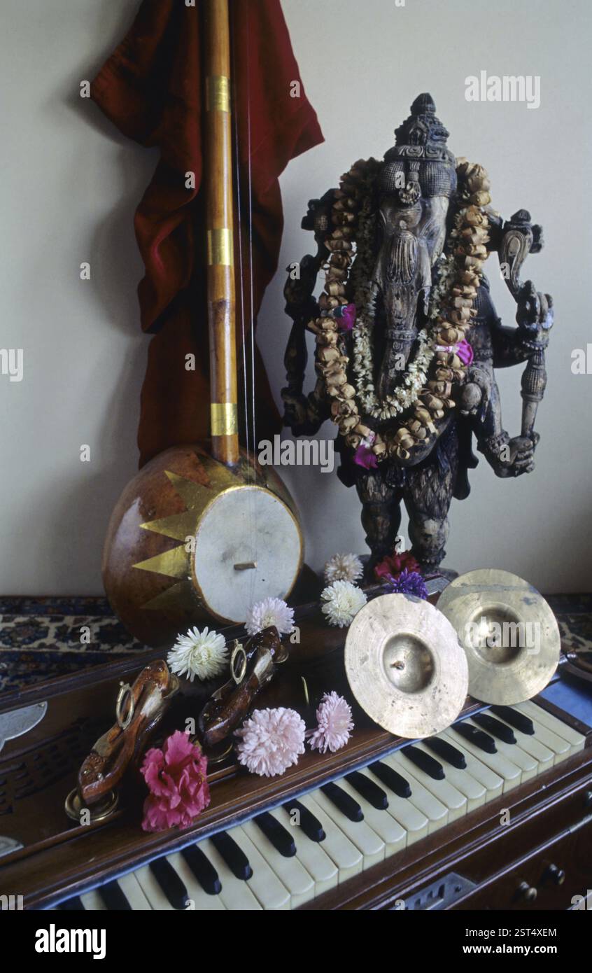 Plucked instruments hi-res stock photography and images - Alamy