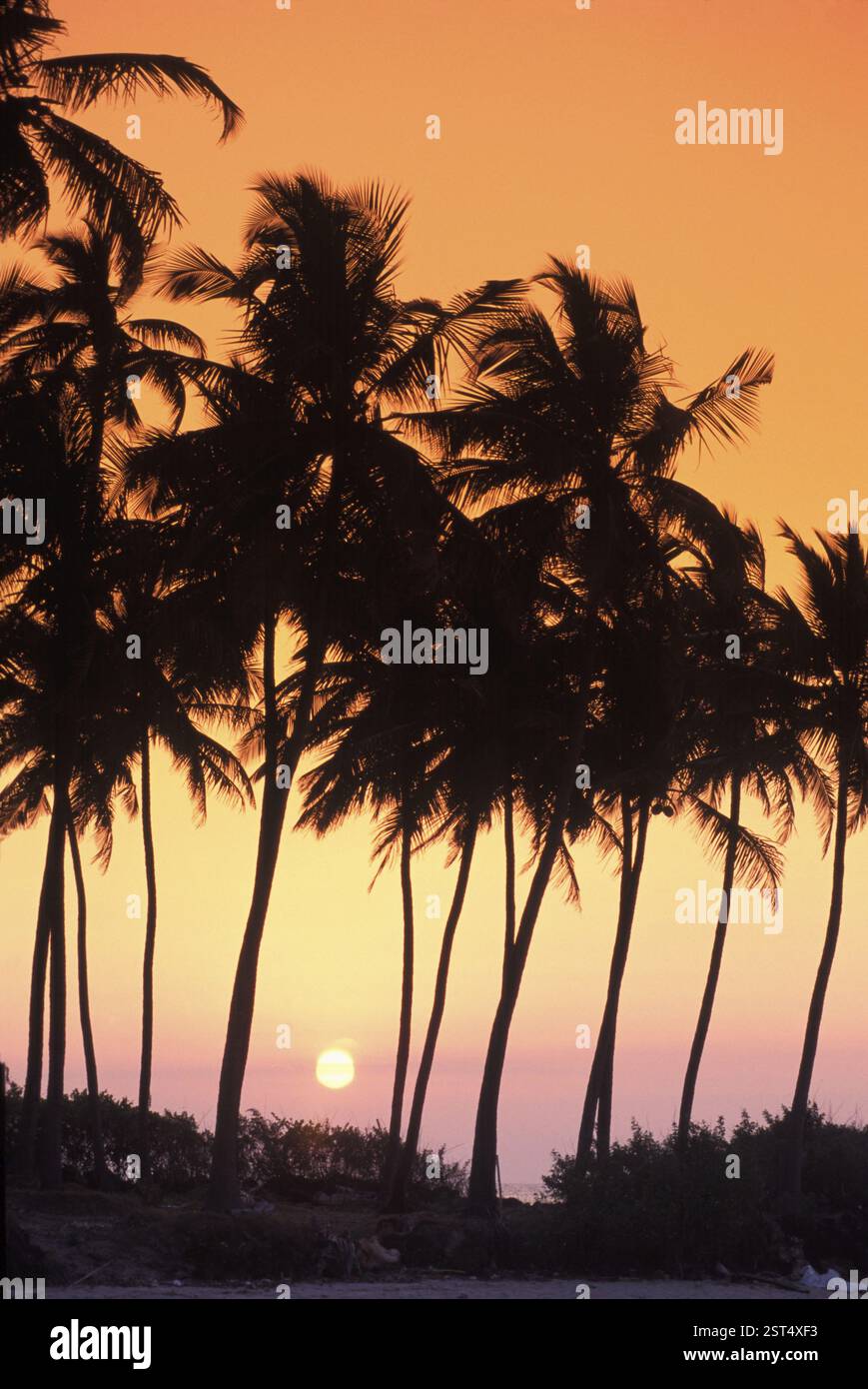 Bhogwe hi-res stock photography and images - Alamy