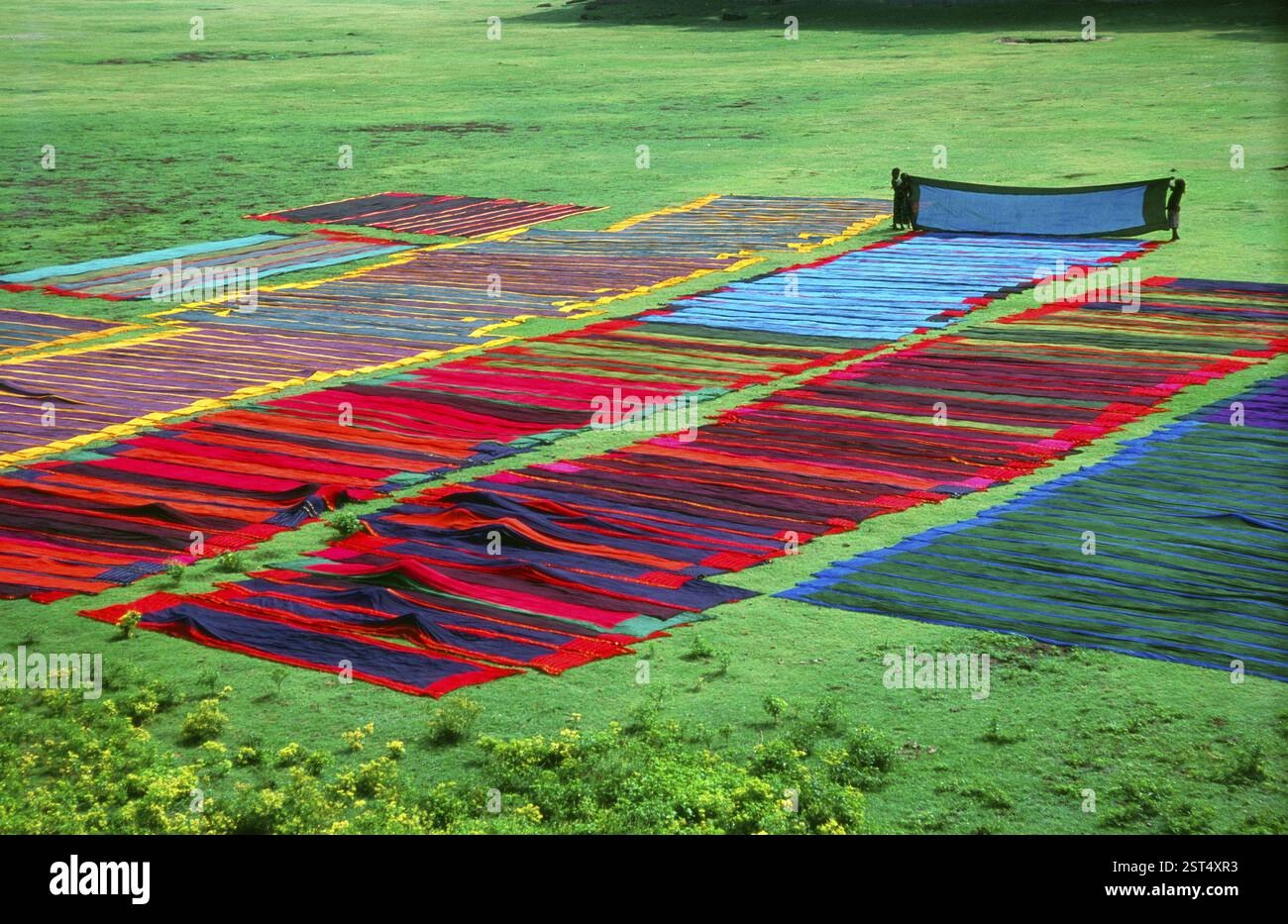 Drying of sungadi saris in dried up bed of Mariamman tank, Madurai ...