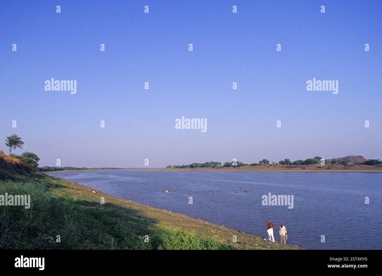 Godavari River, basar, andhra pradesh, India, Asia Stock Photo - Alamy