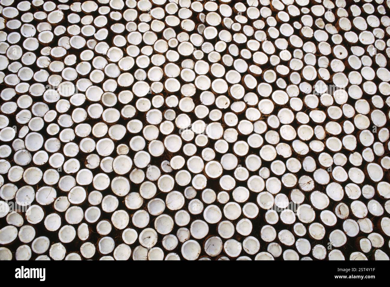 Preparing coconut for extracting cooking oil, kerala, india Stock Photo ...