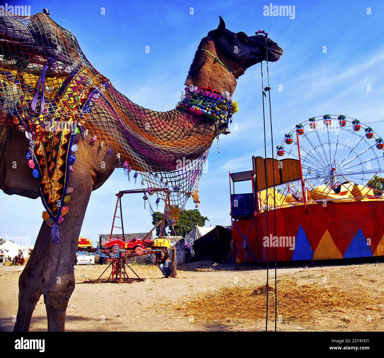 Decorated camel and marry go round, Pushkar cattle fair, Rajasthan ...