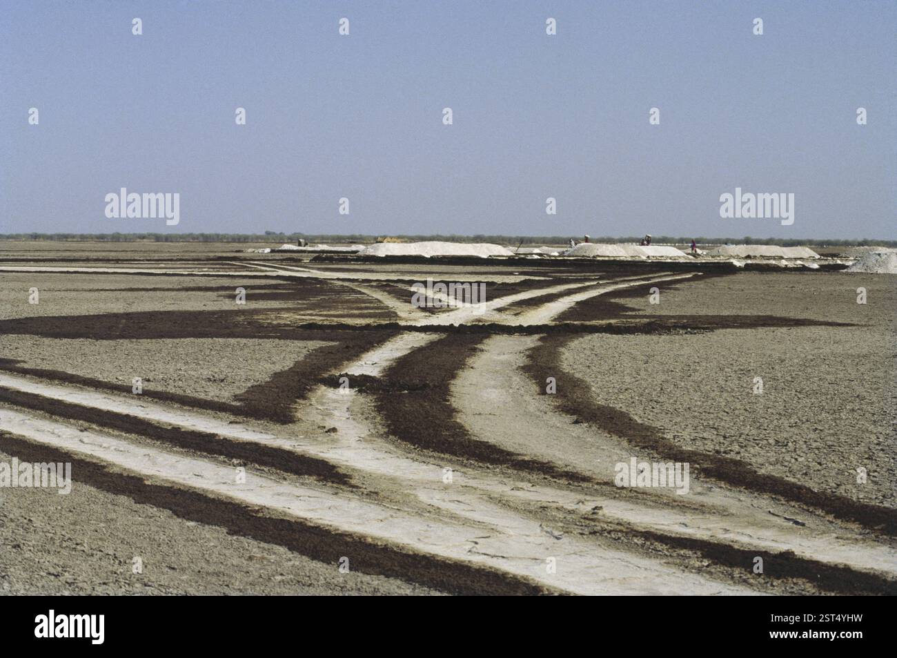 Salt plant, saline land with tyre tracks, little rann of kutch, gujarat ...