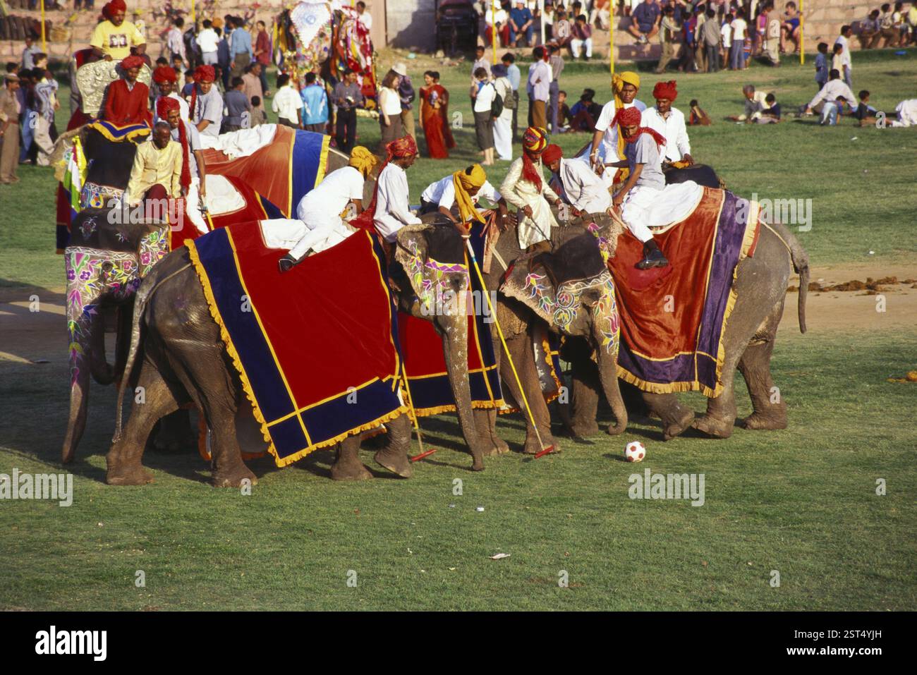 Elephant Polo, Jaipur, Rajasthan, India, Asia Stock Photo - Alamy