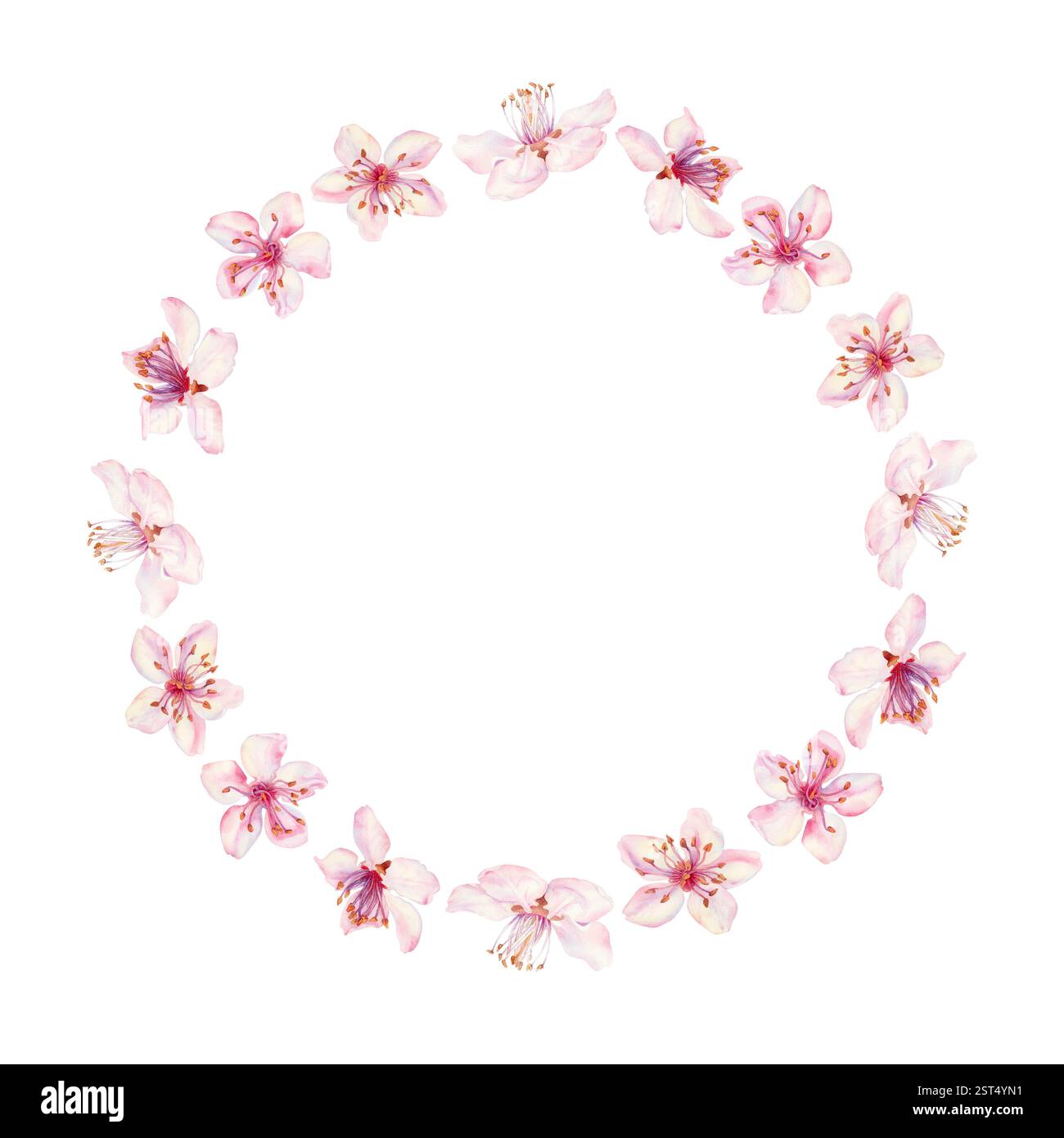 Tokyo japan rose flower Cut Out Stock Images & Pictures - Alamy