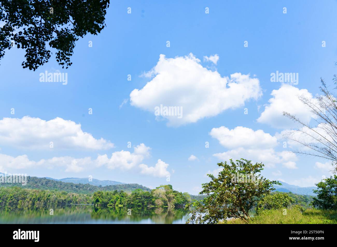 Parambikulam Tiger Reserve, which also includes the erstwhile Wildlife ...