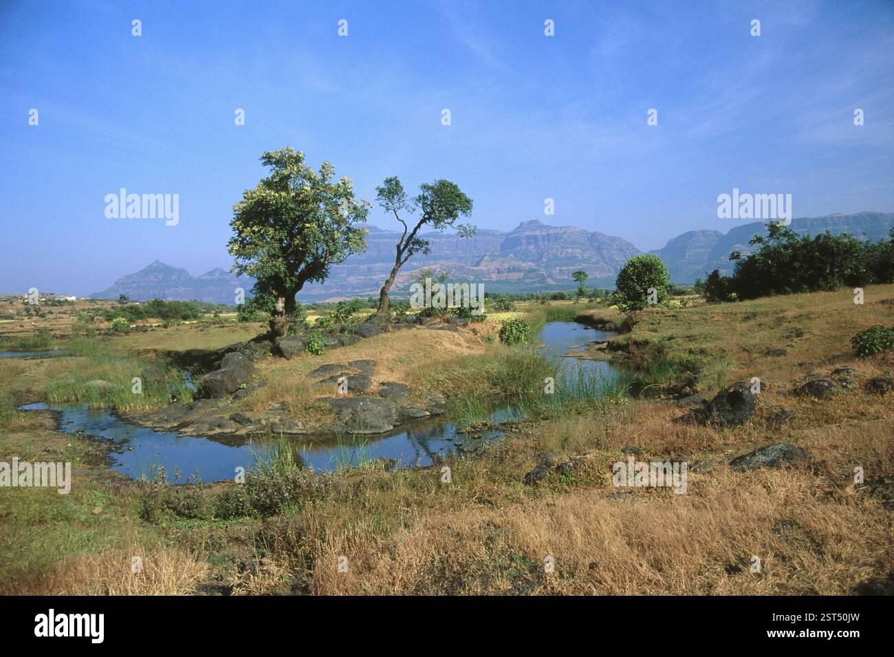 Pond village watering place, malshej ghat, maharashtra, india Stock ...