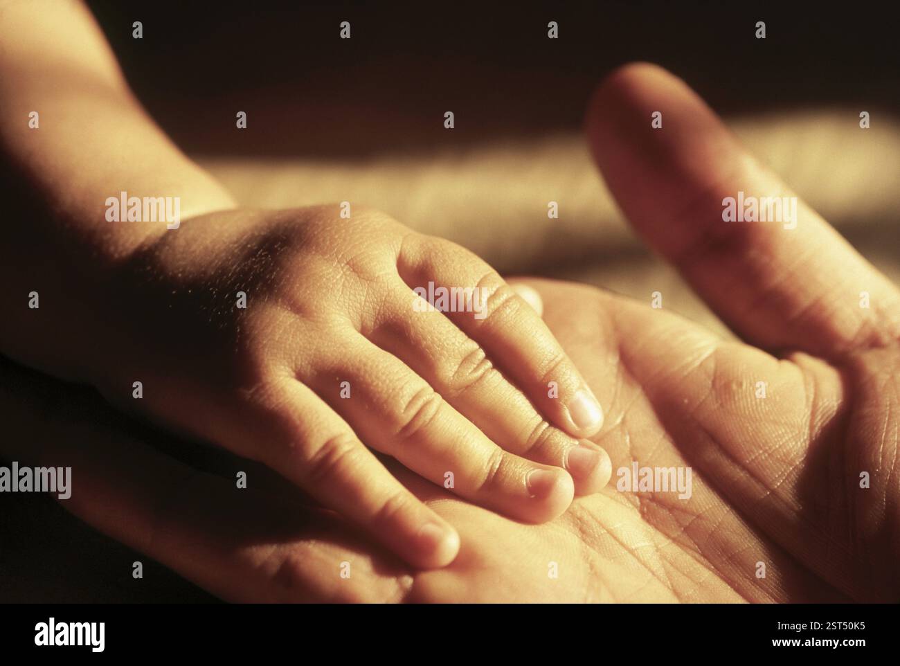Baby hand on father hand palm Stock Photo - Alamy