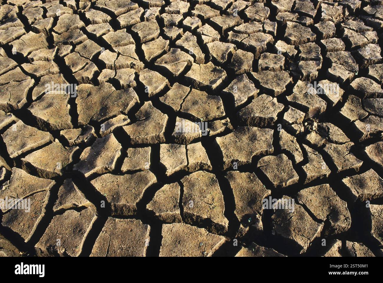 Cracked on earth, clay pattern, prismatic structures in soil, drought ...