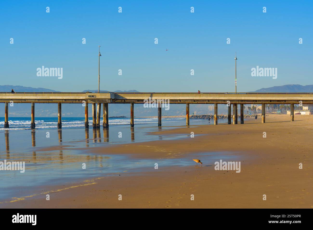 The Venice Fishing Pier extends into the ocean, showcasing a beautiful ...
