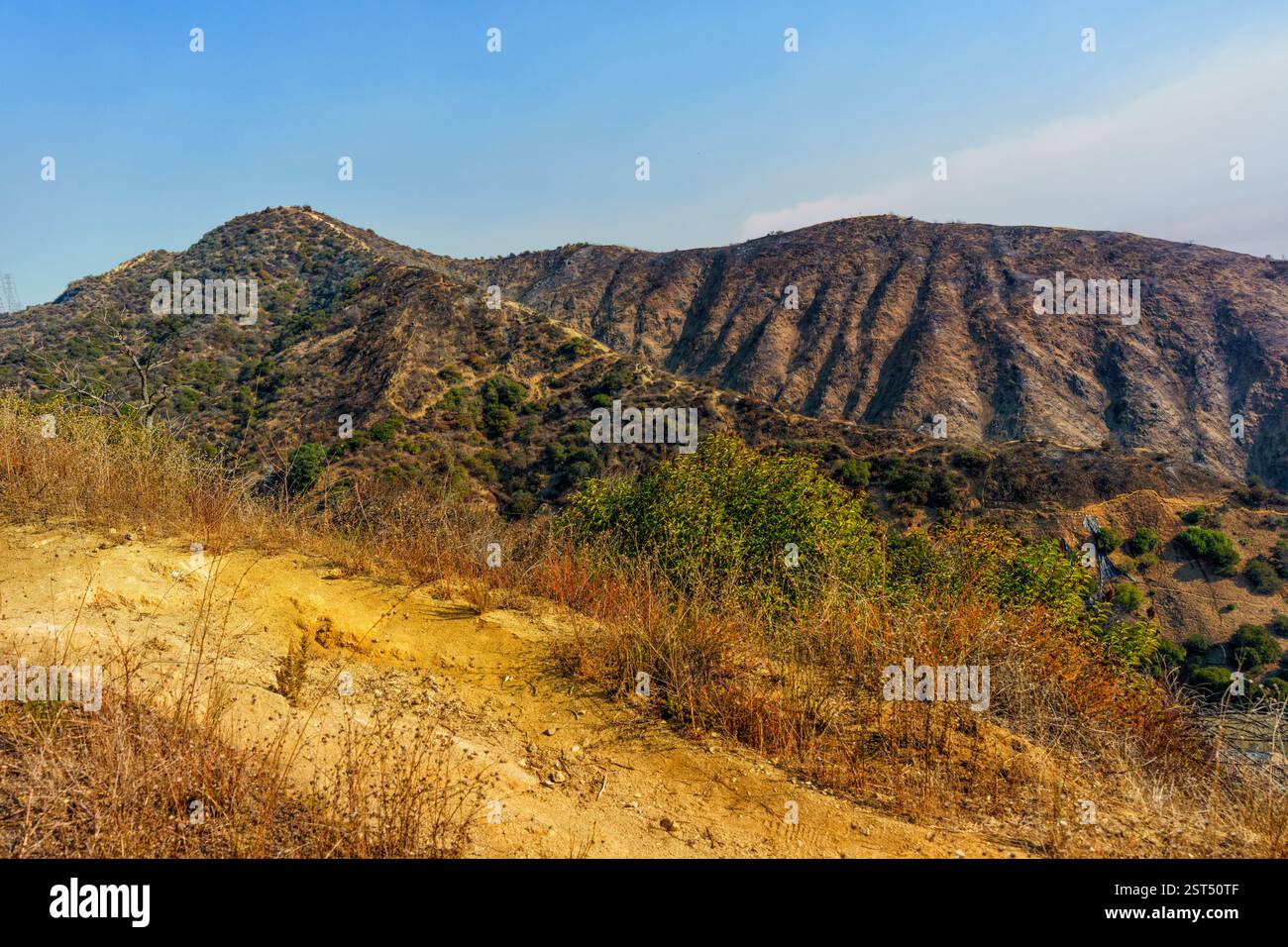Panoramic view of hilly terrain in Runyon Canyon affected by wildfires ...