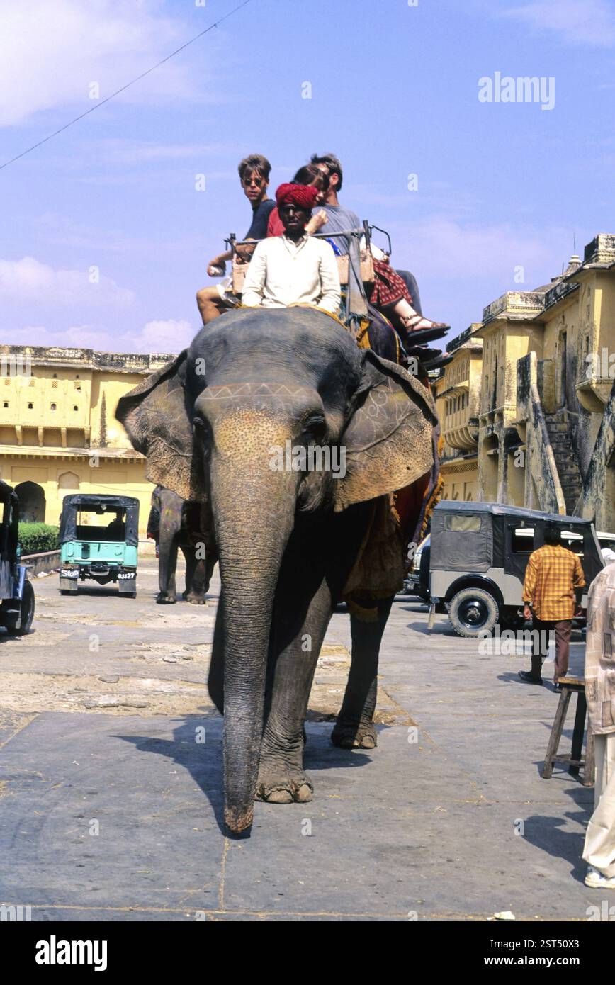 Elephant ride, Amber fort, Jaipur, Rajasthan, India, Asia Stock Photo ...