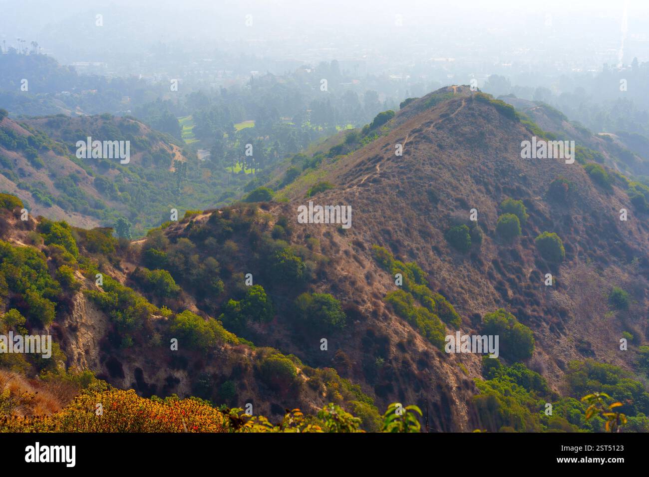 Detailed view of the hills and winding trails in Griffith Park, Los ...
