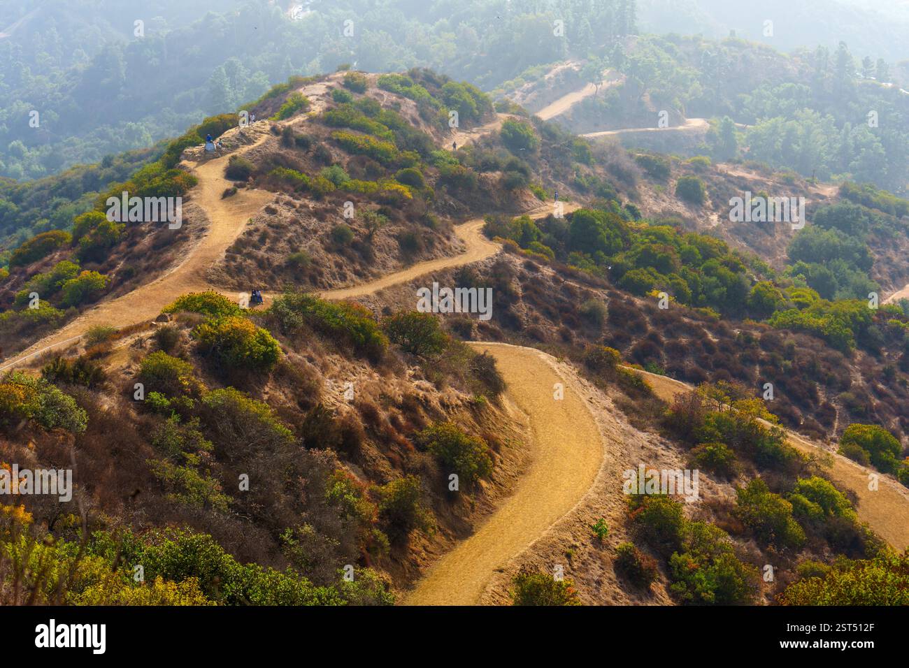Aerial view from Griffith Park Observatory peak showcasing winding ...