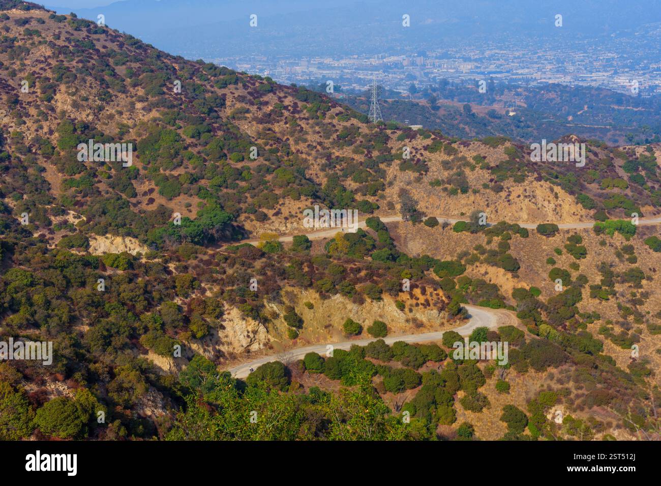 Aerial view of winding trails surrounded by greenery in Griffith Park ...
