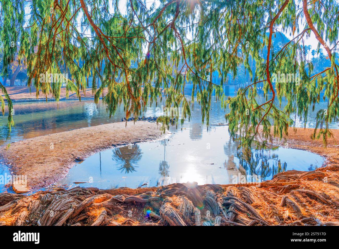 Morning light dances on the water of Riverside, California, where sandy ...