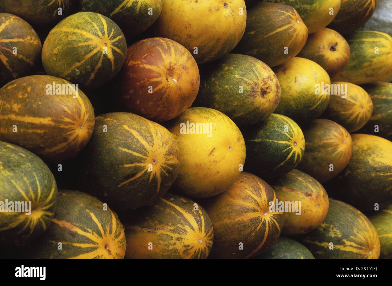 Vegetable, cucumbers, india Stock Photo - Alamy
