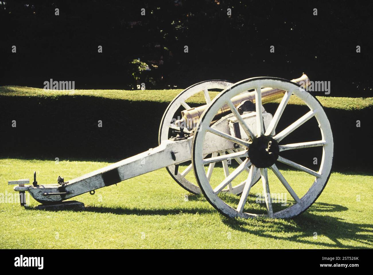 Indian cannons hi-res stock photography and images - Alamy