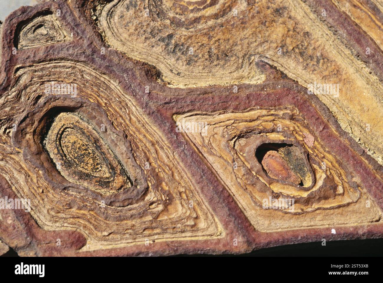 Fossilized stone form, vithon, kutch, gujarat, india Stock Photo - Alamy