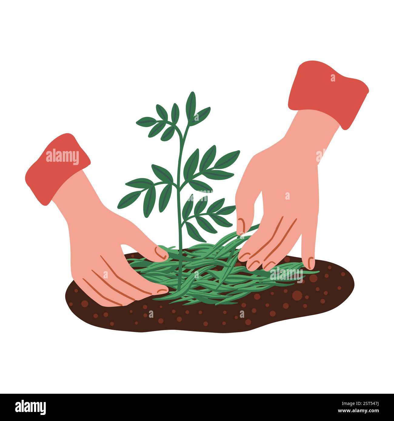 Mulch soil garden Stock Vector Images - Alamy