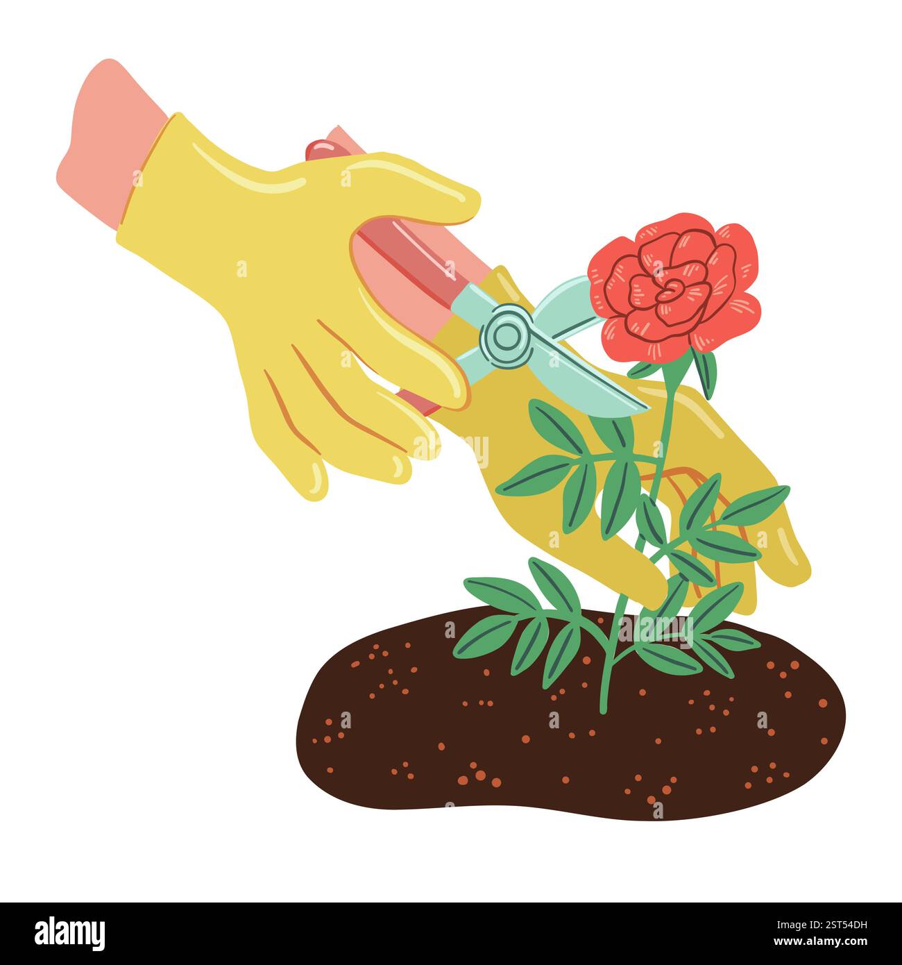 Planting pruning Cut Out Stock Images & Pictures - Alamy
