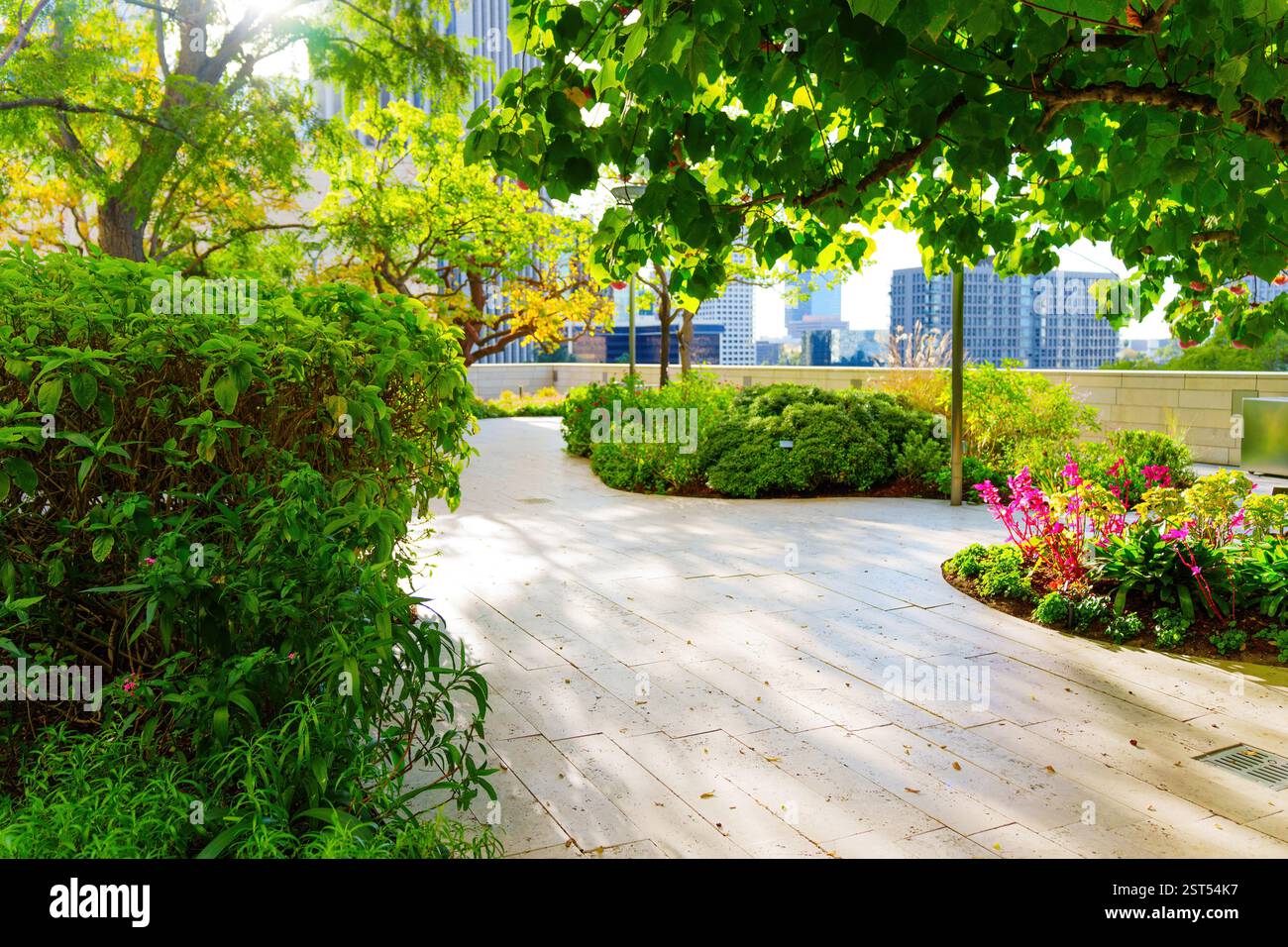 Los Angeles, California - January 7, 2025: Scenic view of a pathway ...
