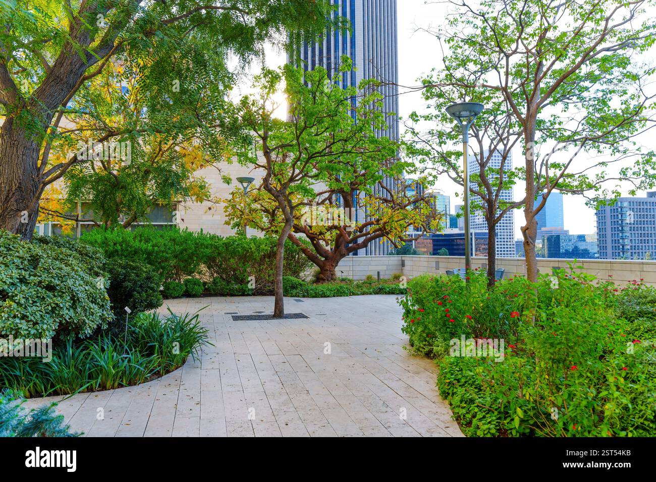 Los Angeles, California - January 7, 2025: Serene view of the Blue ...